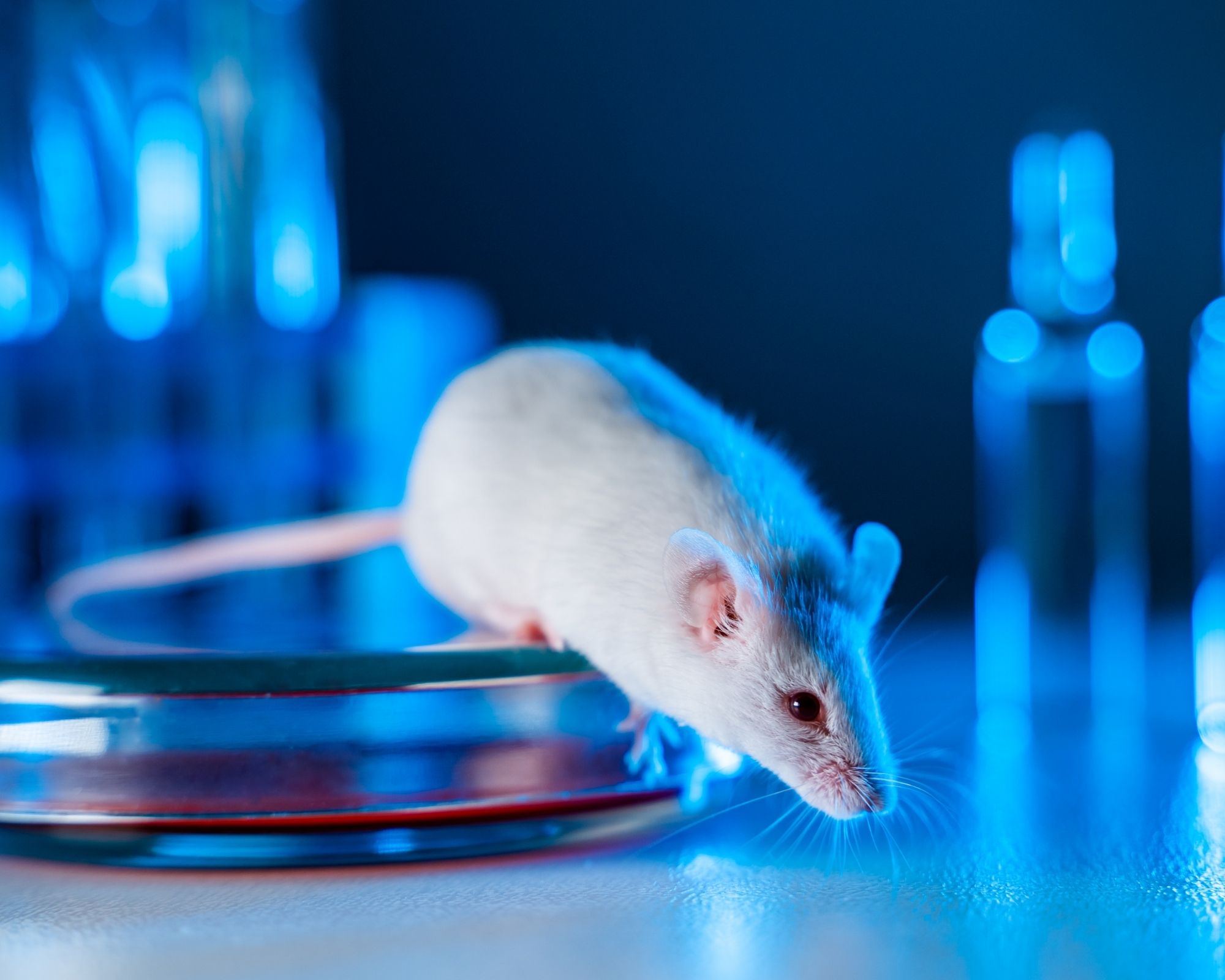 HAYVAN ÇALIŞMALARI GEREKLİ Mİ? - Prof. Dr. Mustafa Çetiner